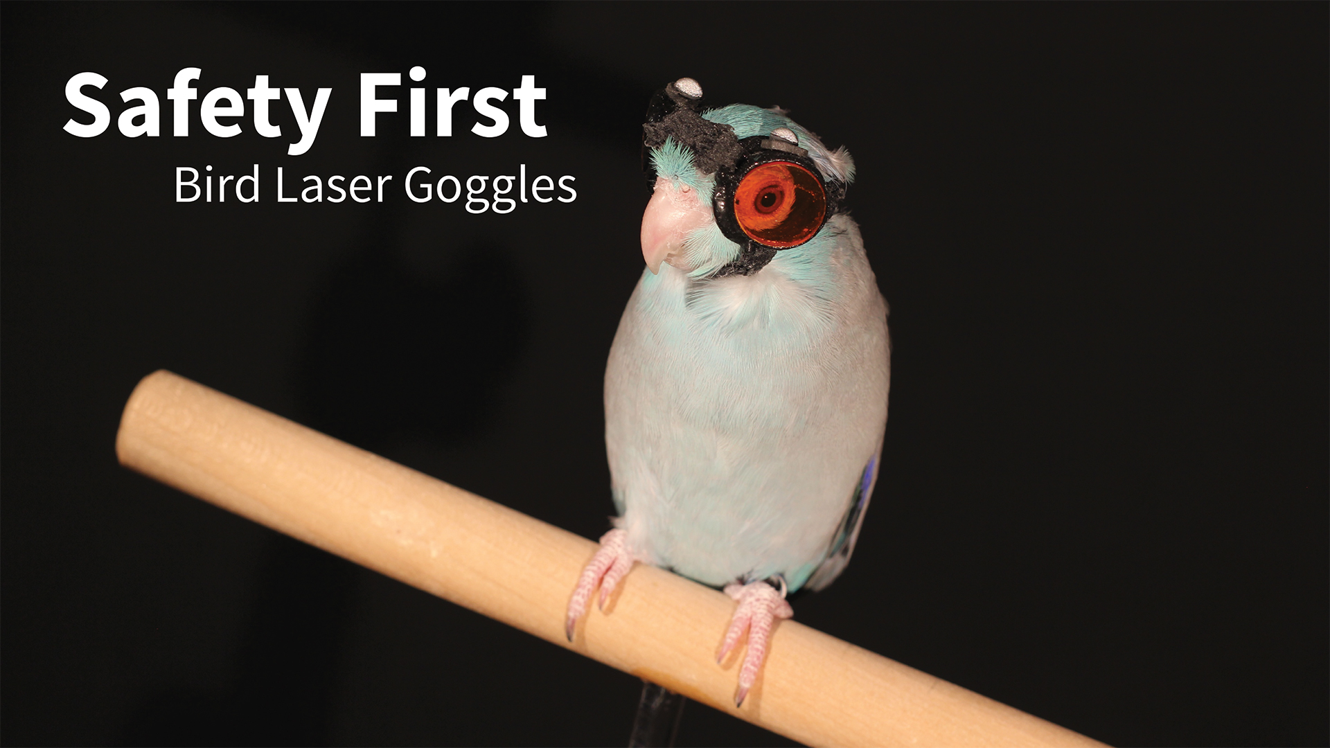 Engineering Methods - LentinkLab