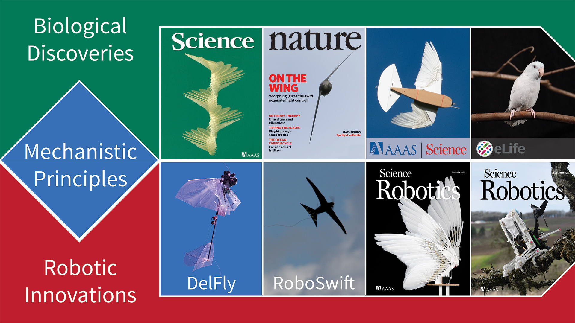 Research - Multidisciplinary - LentinkLab