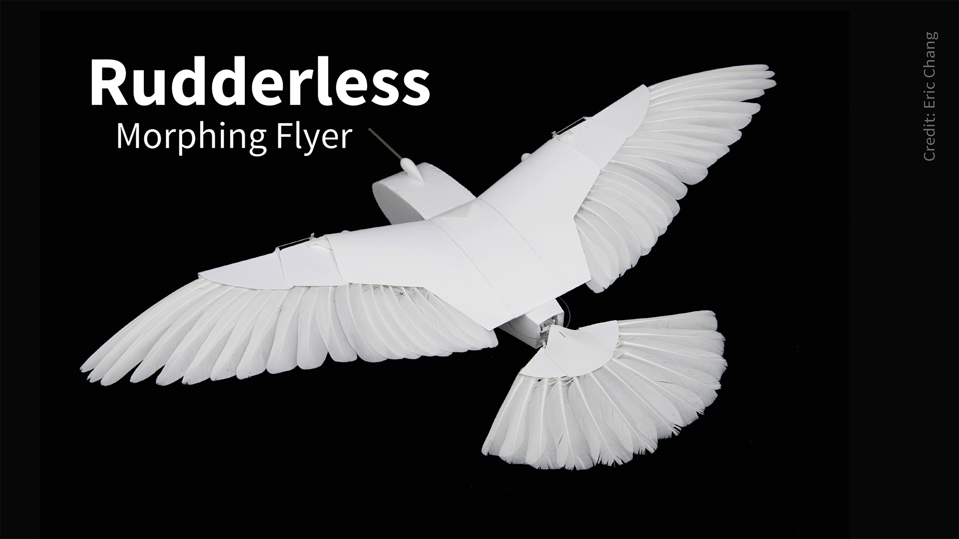 Aerial Robot Design - LentinkLab