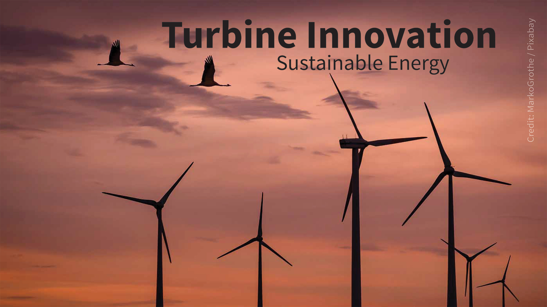 Research Project Examples - LentinkLab